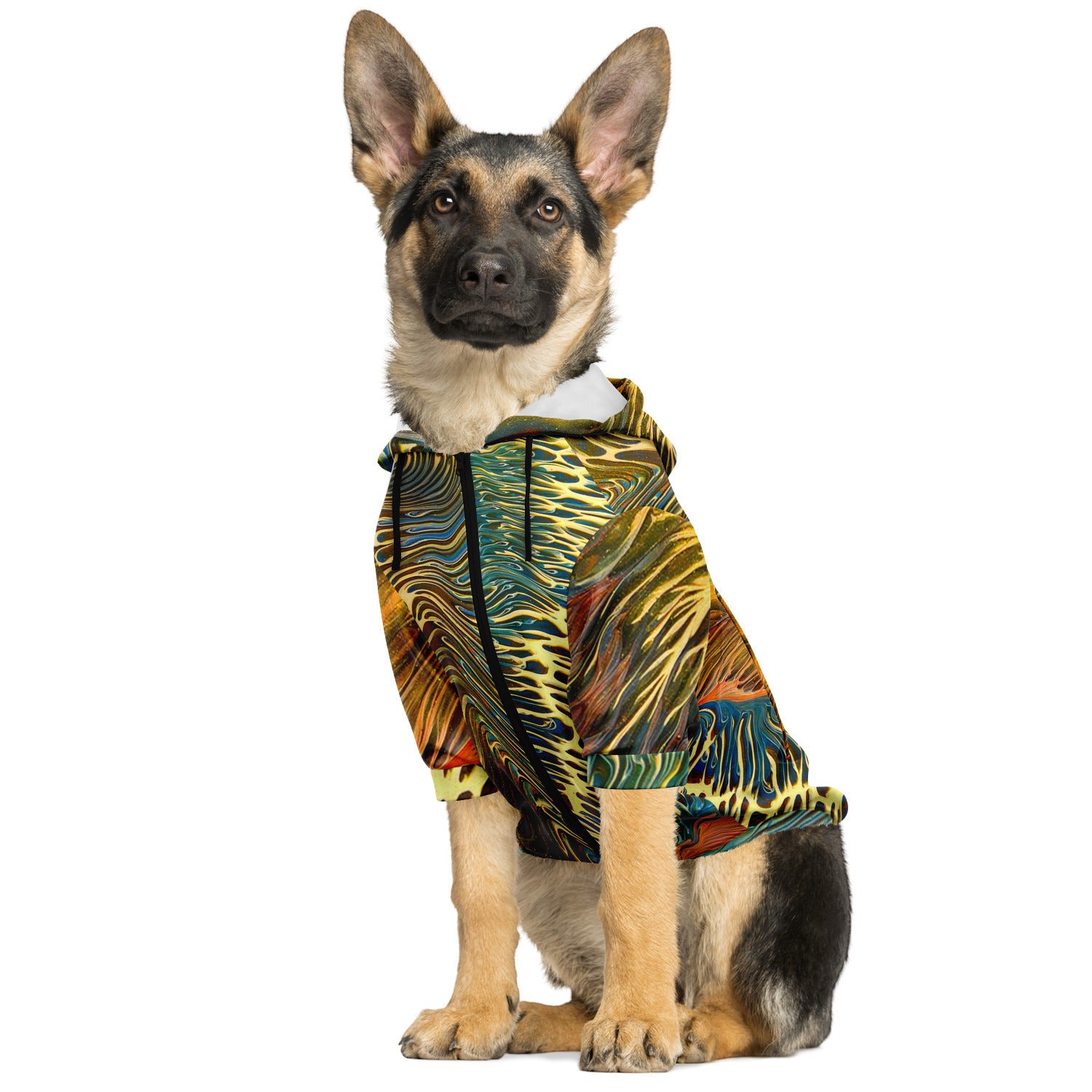 Pet Gear – ColorMeGroovy